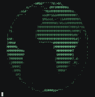 GitHub - bcicen/cliglobe: A simple spinning commandline globe with gradient colors